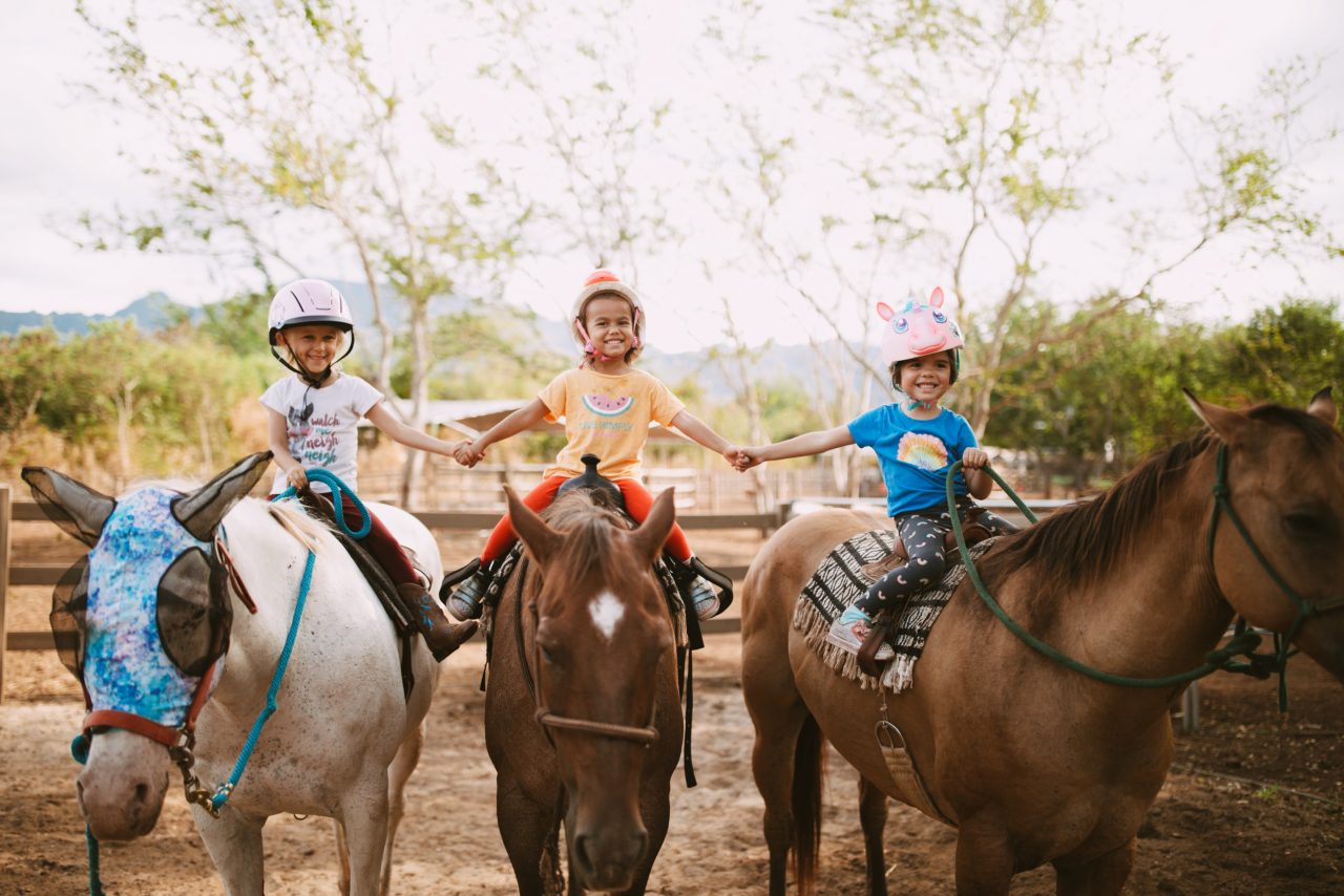 Hawaii Horseback Riding & ATV Tours | North Shore Stables