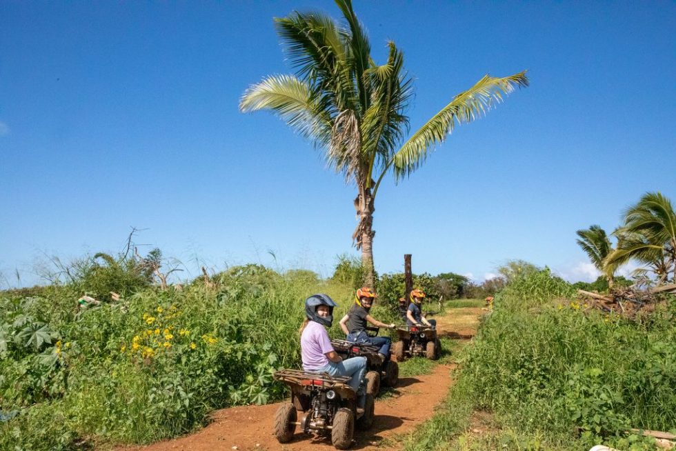 Hawaii Horseback Riding & ATV Tours | North Shore Stables